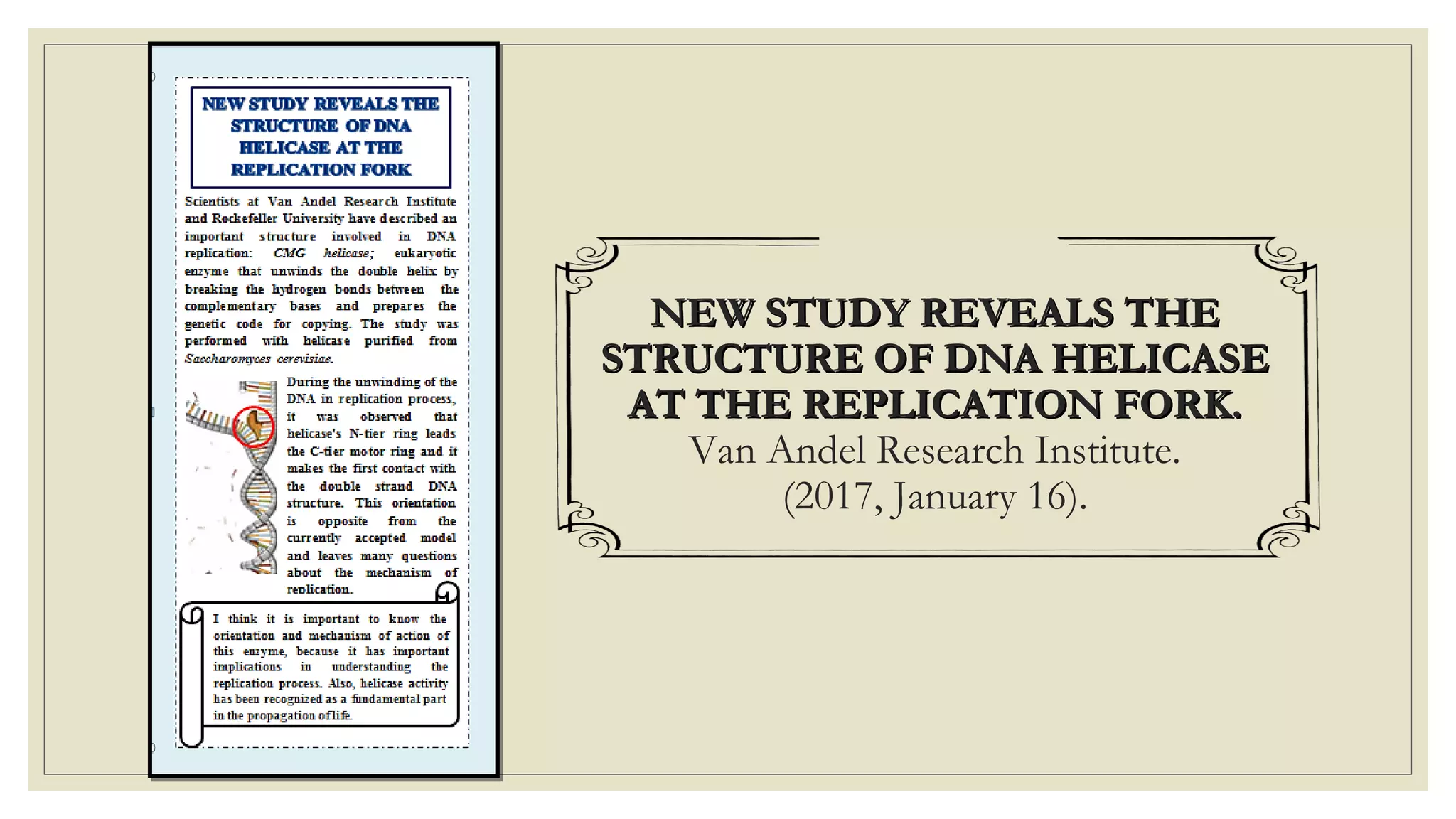 DNA REPLICATION | PPT