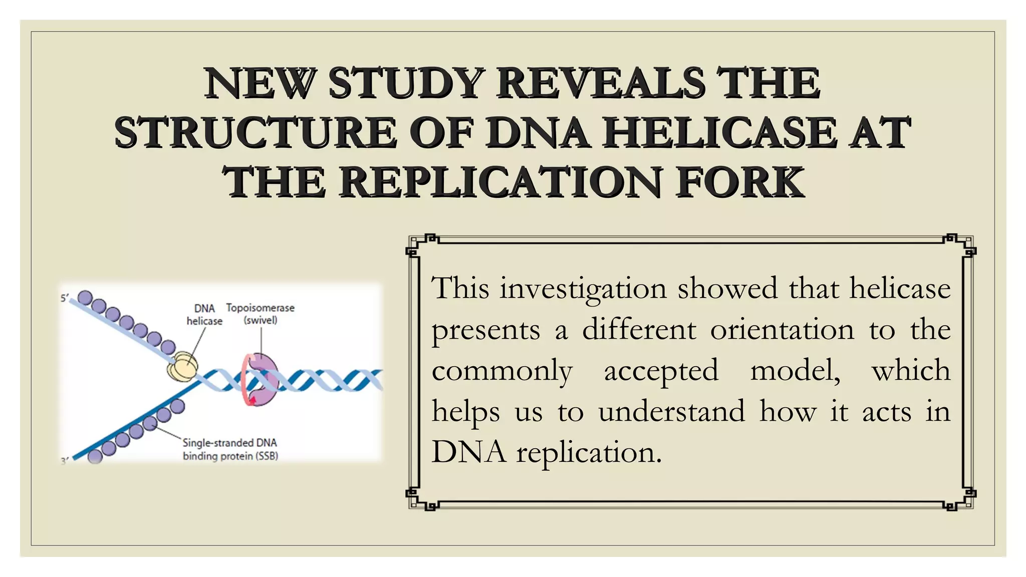 DNA REPLICATION | PPT