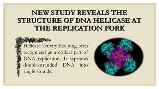 DNA REPLICATION | PPT