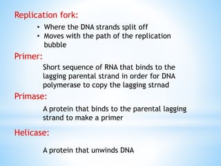 Dna replication | PPT