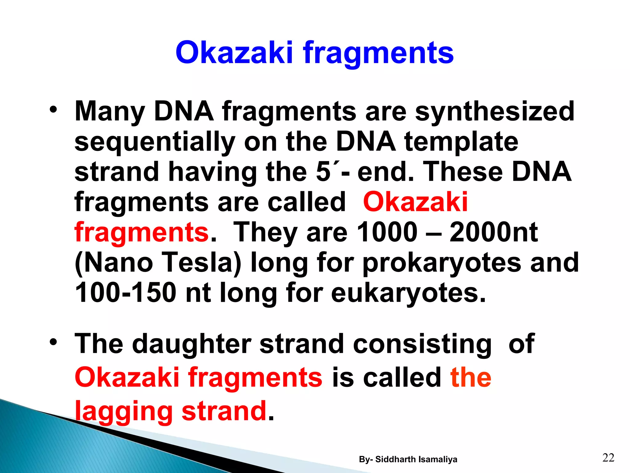 Dna replication | PPT | Chemistry | Science