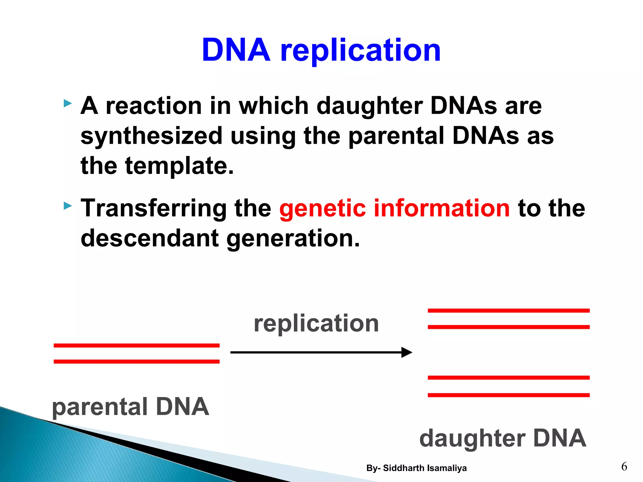 Dna replication | PPT | Chemistry | Science