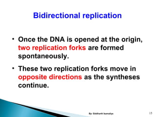Dna replication | PPT | Chemistry | Science