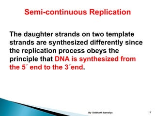 Dna replication | PPT | Chemistry | Science