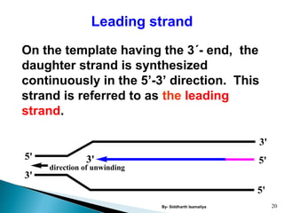 Dna replication | PPT | Chemistry | Science
