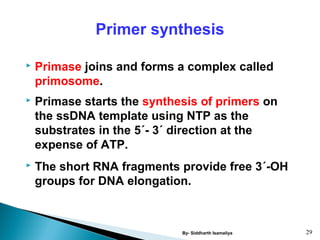 Dna replication | PPT | Chemistry | Science