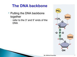 Dna replication | PPT | Chemistry | Science