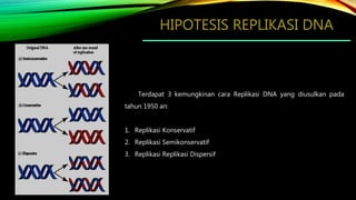 Dna replication | PPT