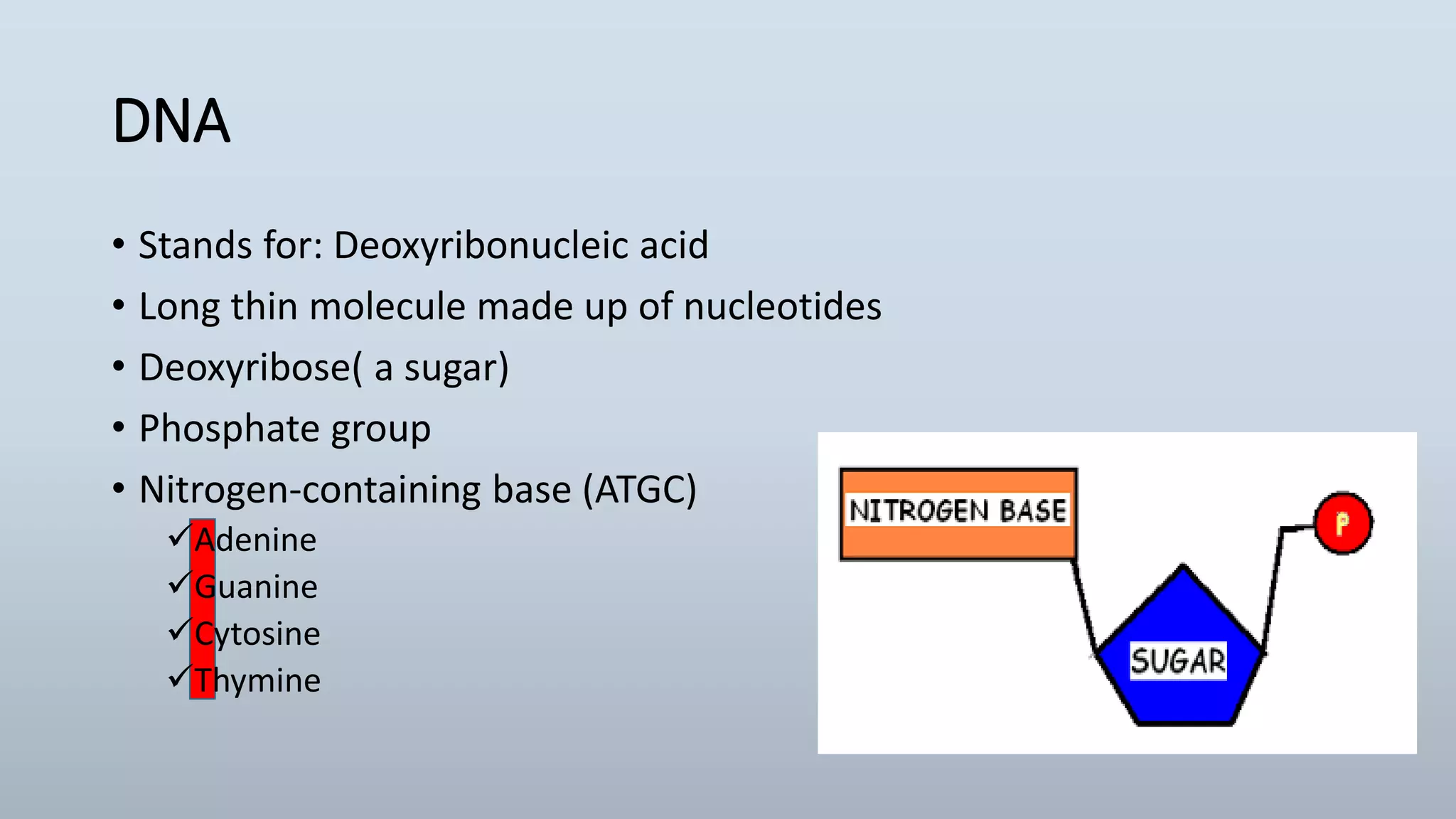 Dna replication | PPTX | Chemistry | Science