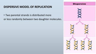 Dna replication | PPTX | Chemistry | Science