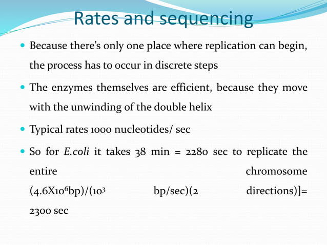DNA Replication | PPT