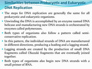 DNA Replication | PPTX