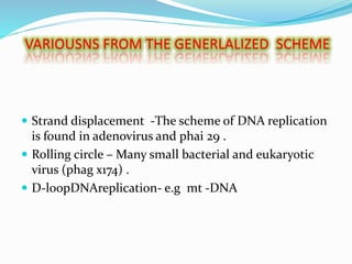 DNA Replication | PPT