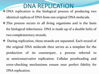 DNA Replication | PPT