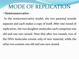 DNA Replication | PPTX