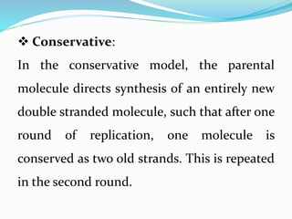 DNA Replication | PPT