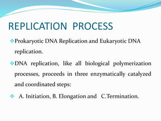 DNA Replication | PPTX