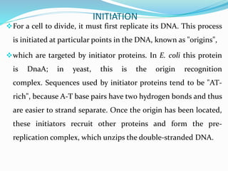 DNA Replication | PPT