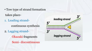 Dna replication | PPTX