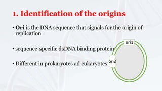 Dna replication | PPTX