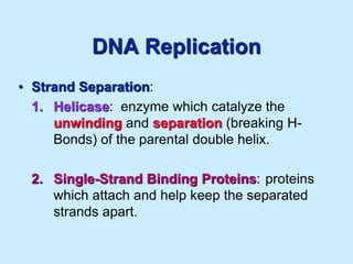 Dna replication | PPTX