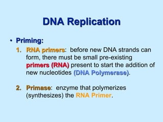 Dna replication | PPTX