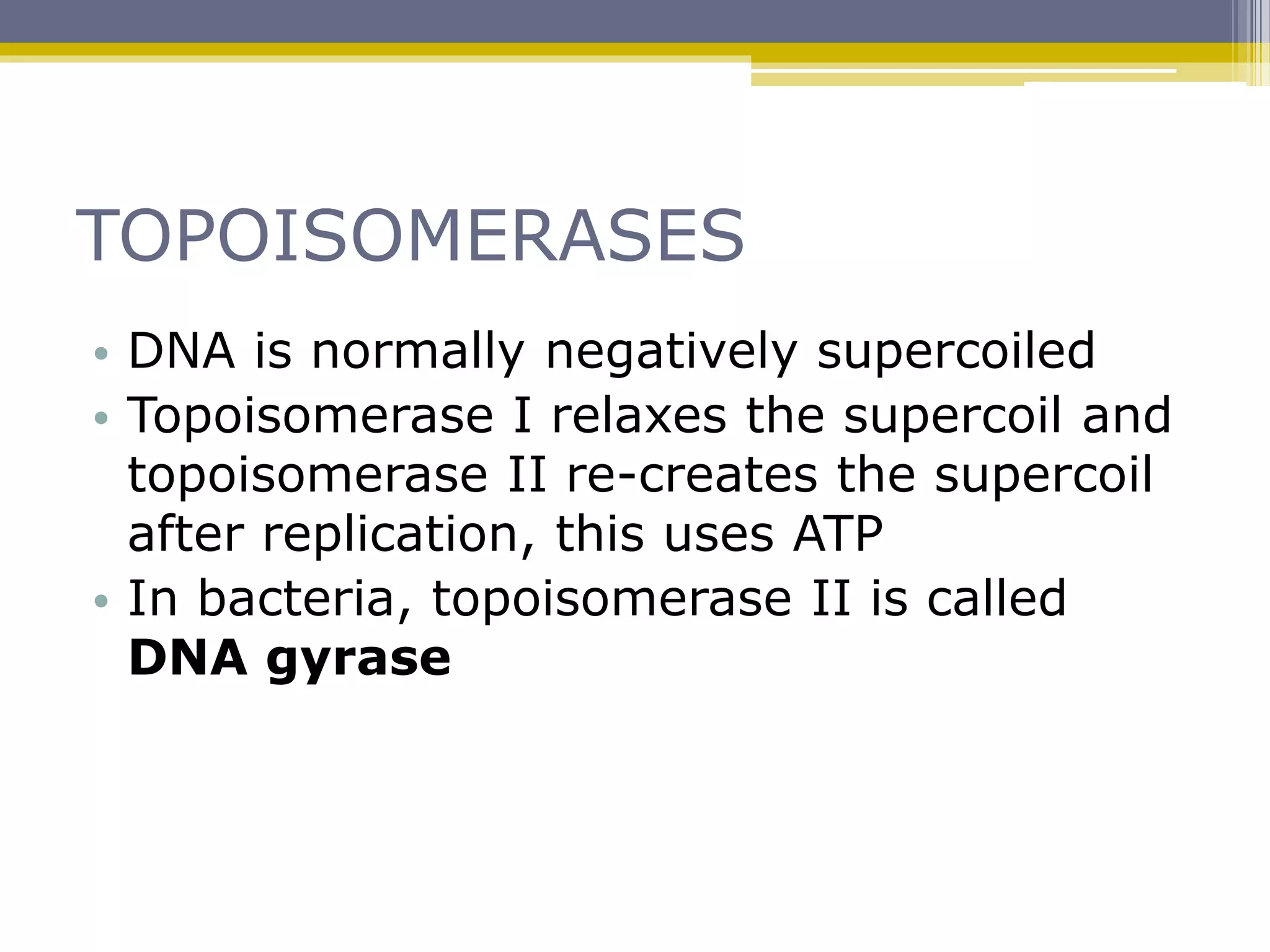 Dna replication | PPTX