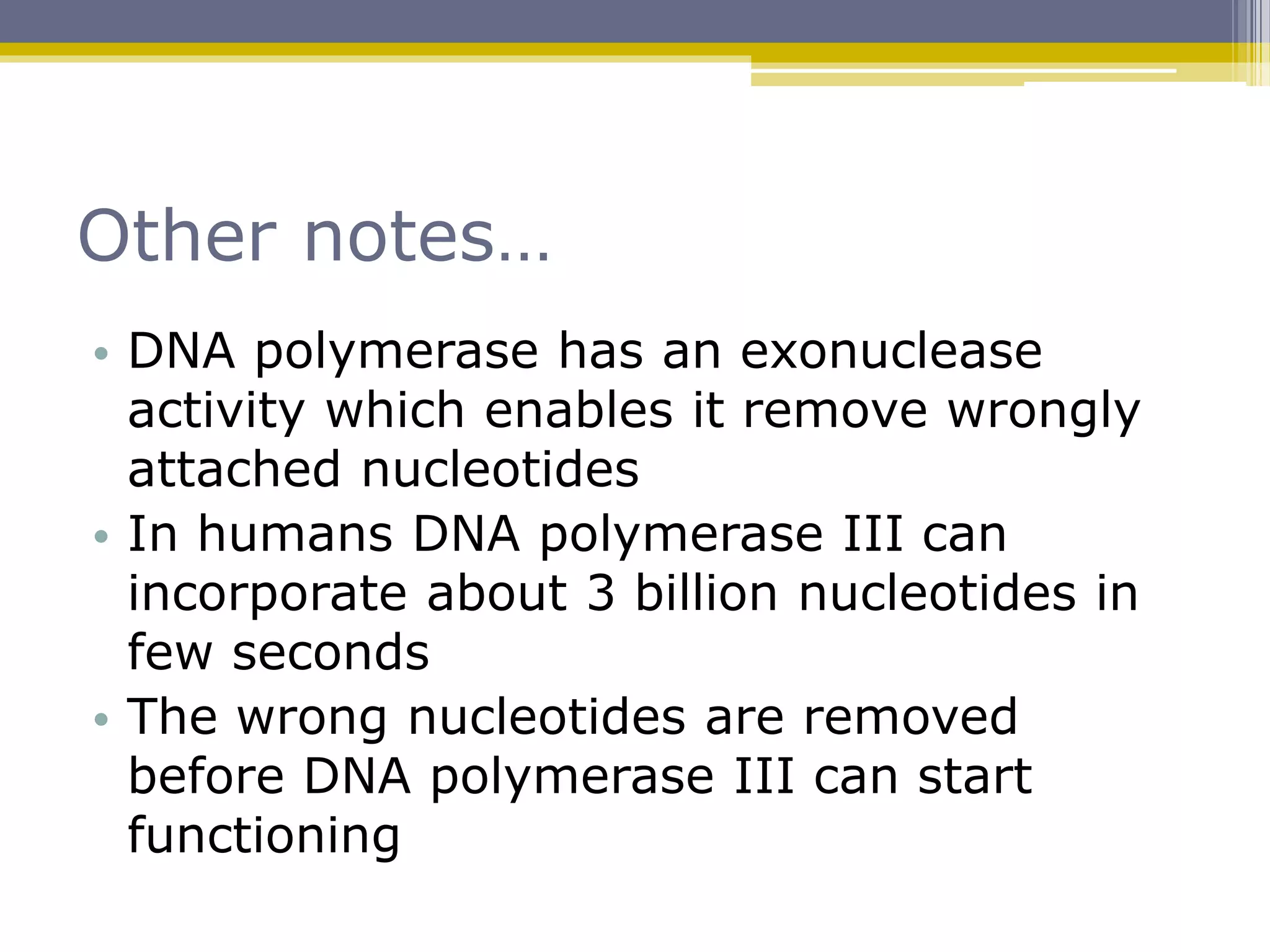 Dna replication | PPTX