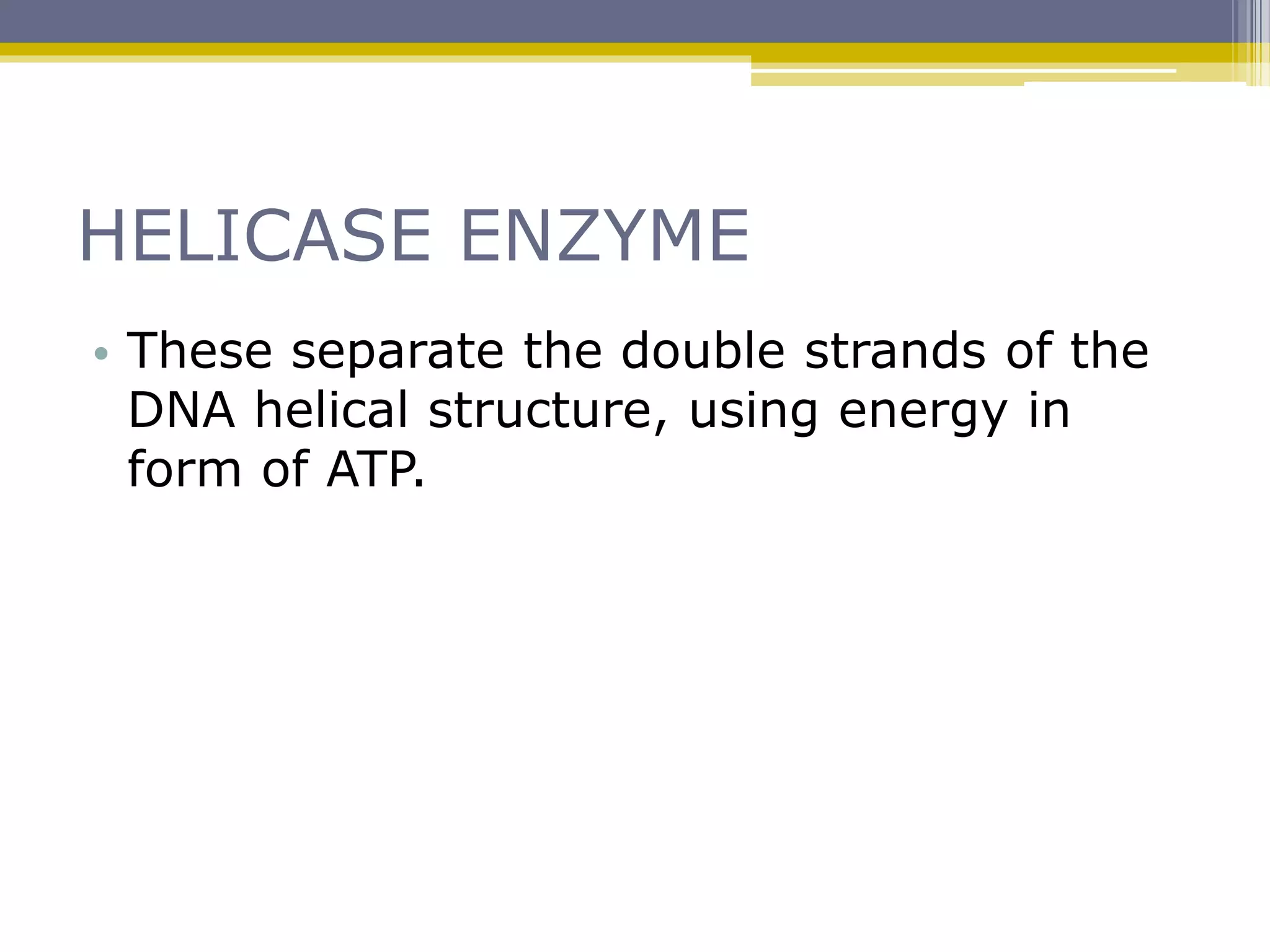 Dna replication | PPTX