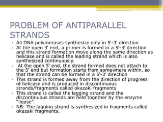 Dna replication | PPT