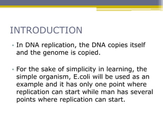Dna replication | PPT