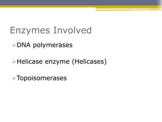 Dna replication | PPT