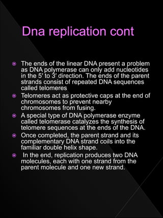 Dna replication | PDF
