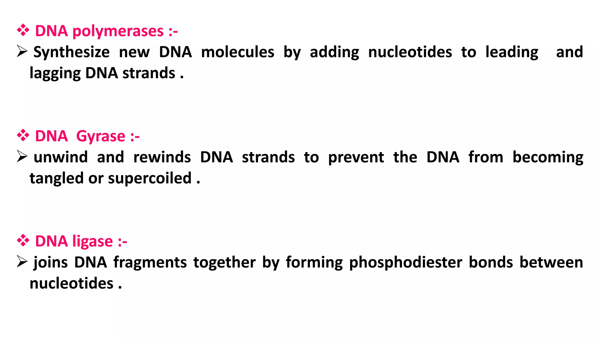 Replication of DNA | PPTX