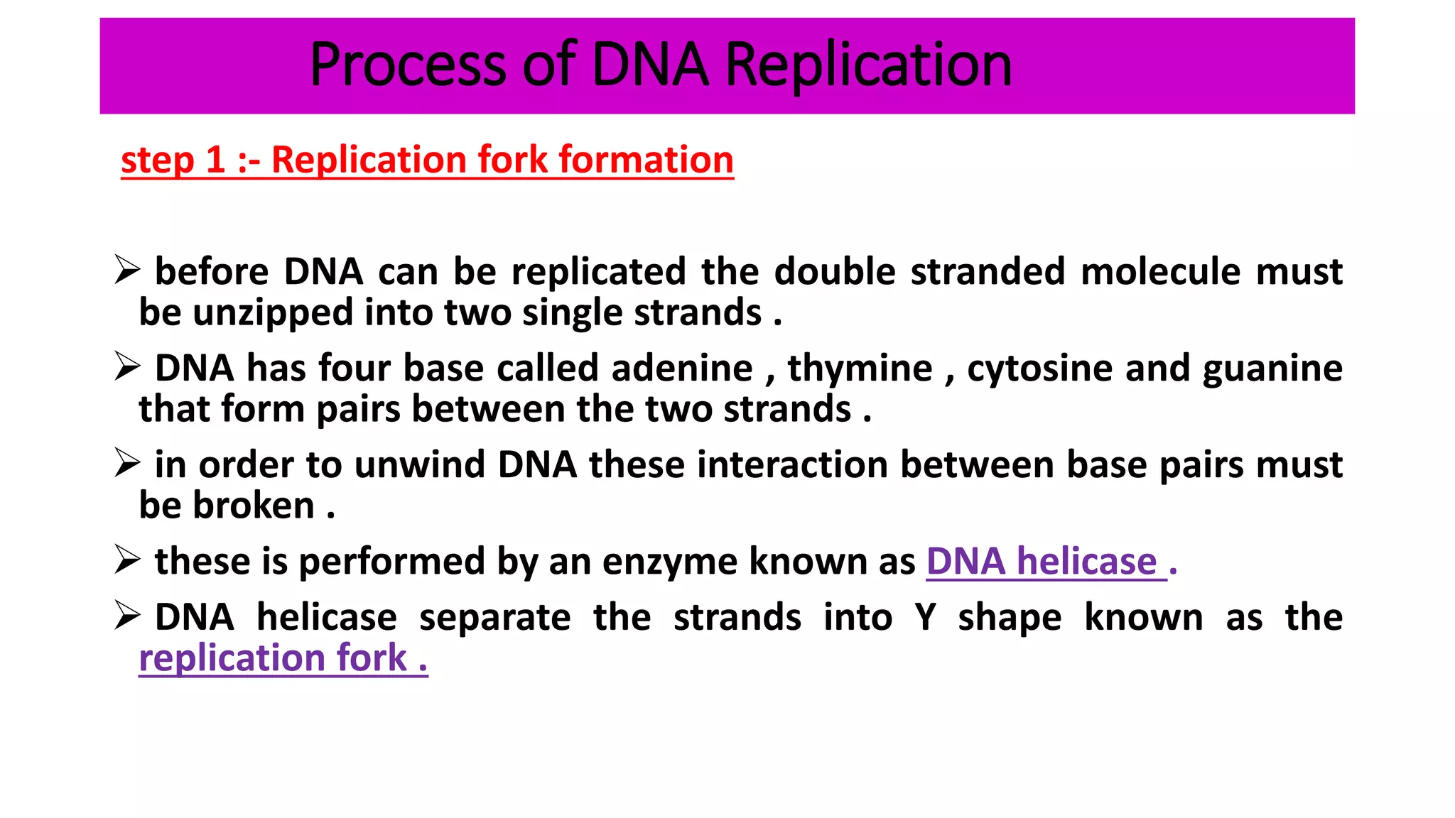 Replication of DNA | PPTX