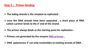 Replication of DNA | PPTX