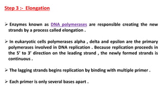 Replication of DNA | PPTX