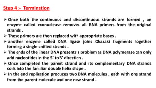 Replication of DNA | PPTX