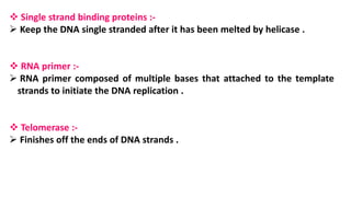 Replication of DNA | PPTX