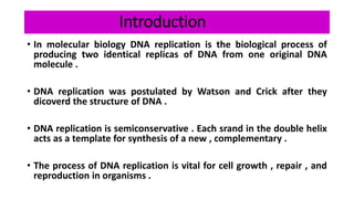 Replication of DNA | PPTX