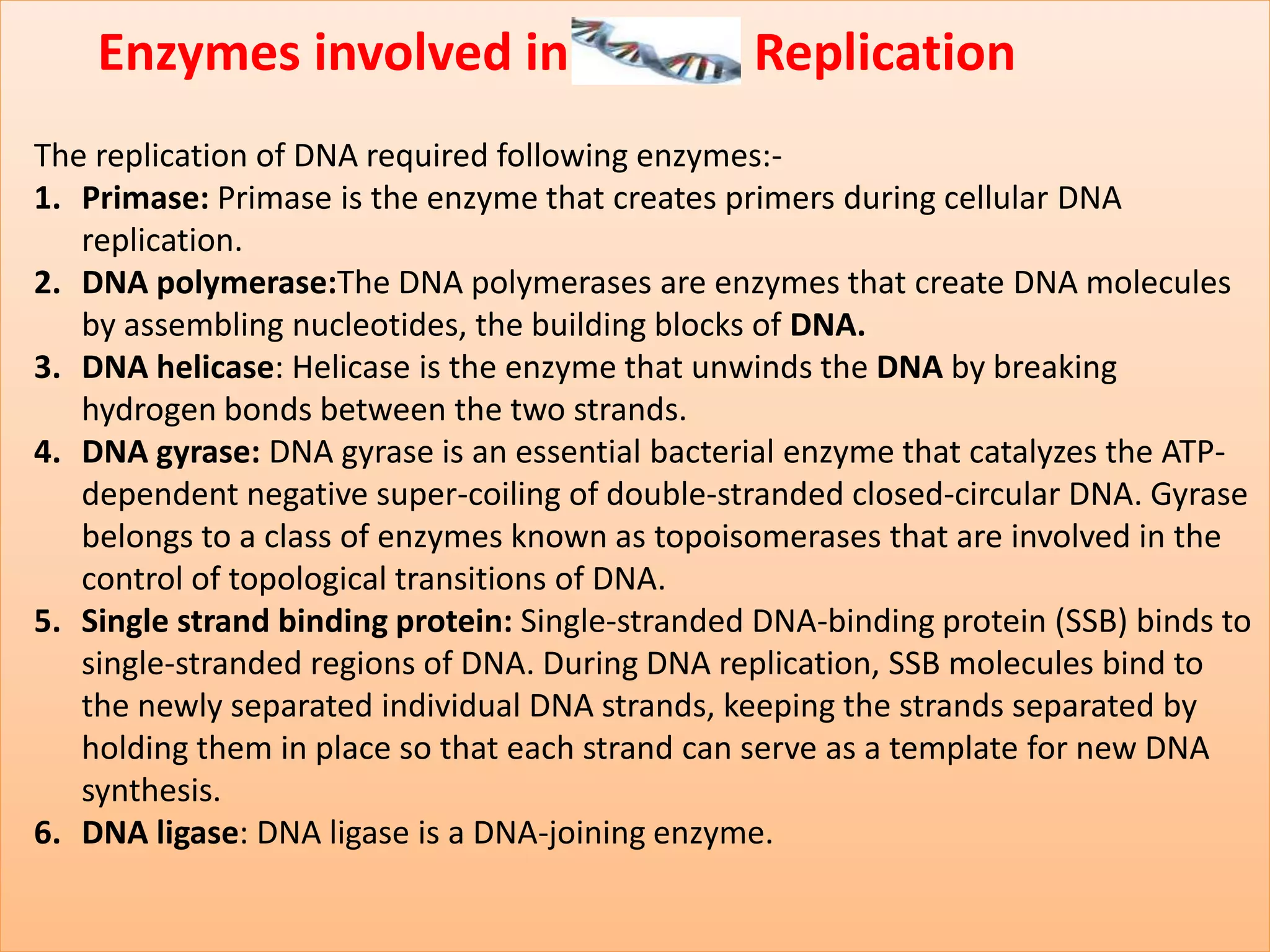 DNA replication in Prokaryotes | PPTX