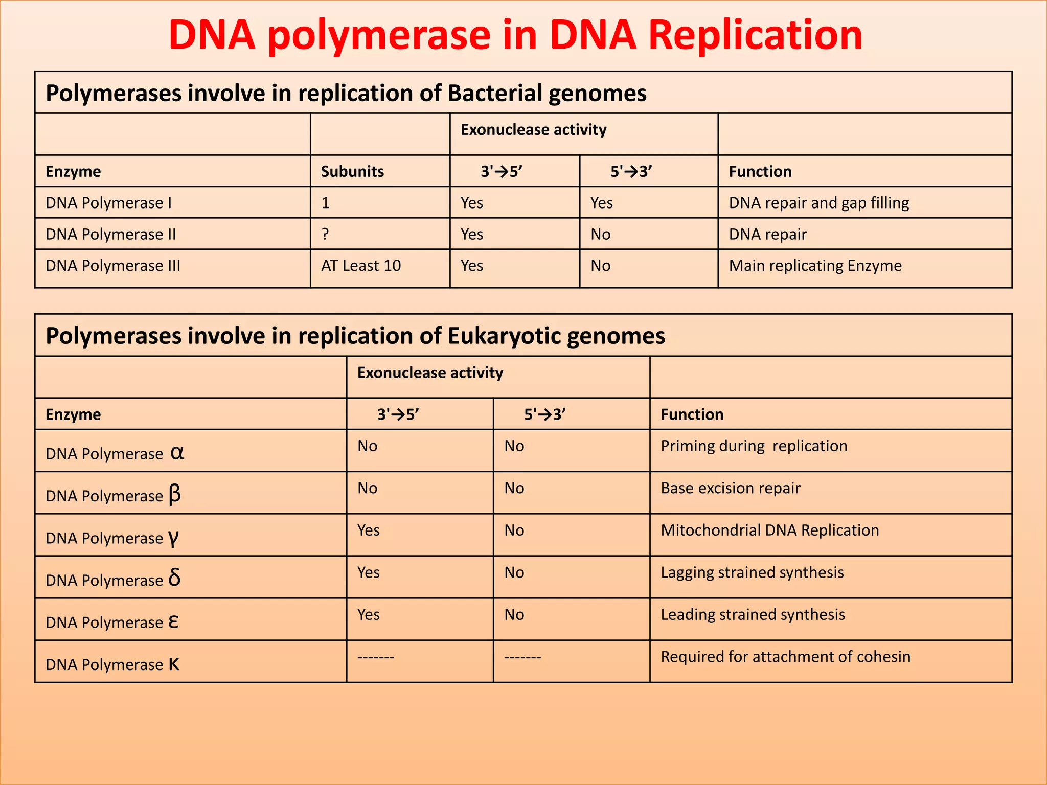DNA replication in Prokaryotes | PPTX