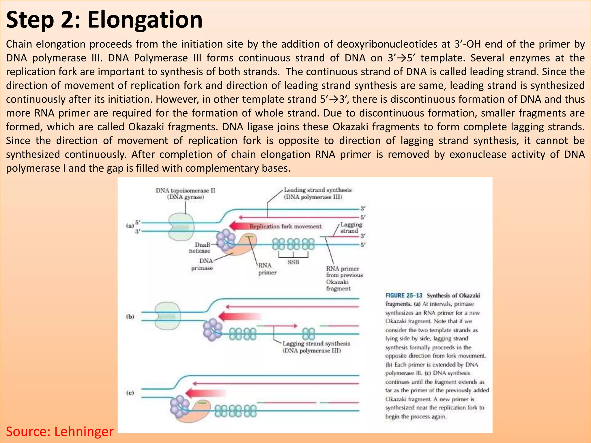 DNA replication in Prokaryotes | PPTX