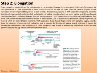 DNA replication in Prokaryotes | PPT