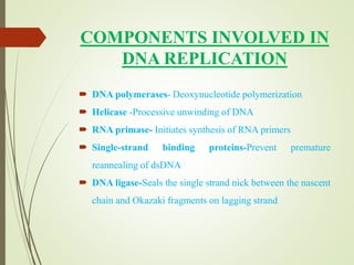 Dna replication. | PPT