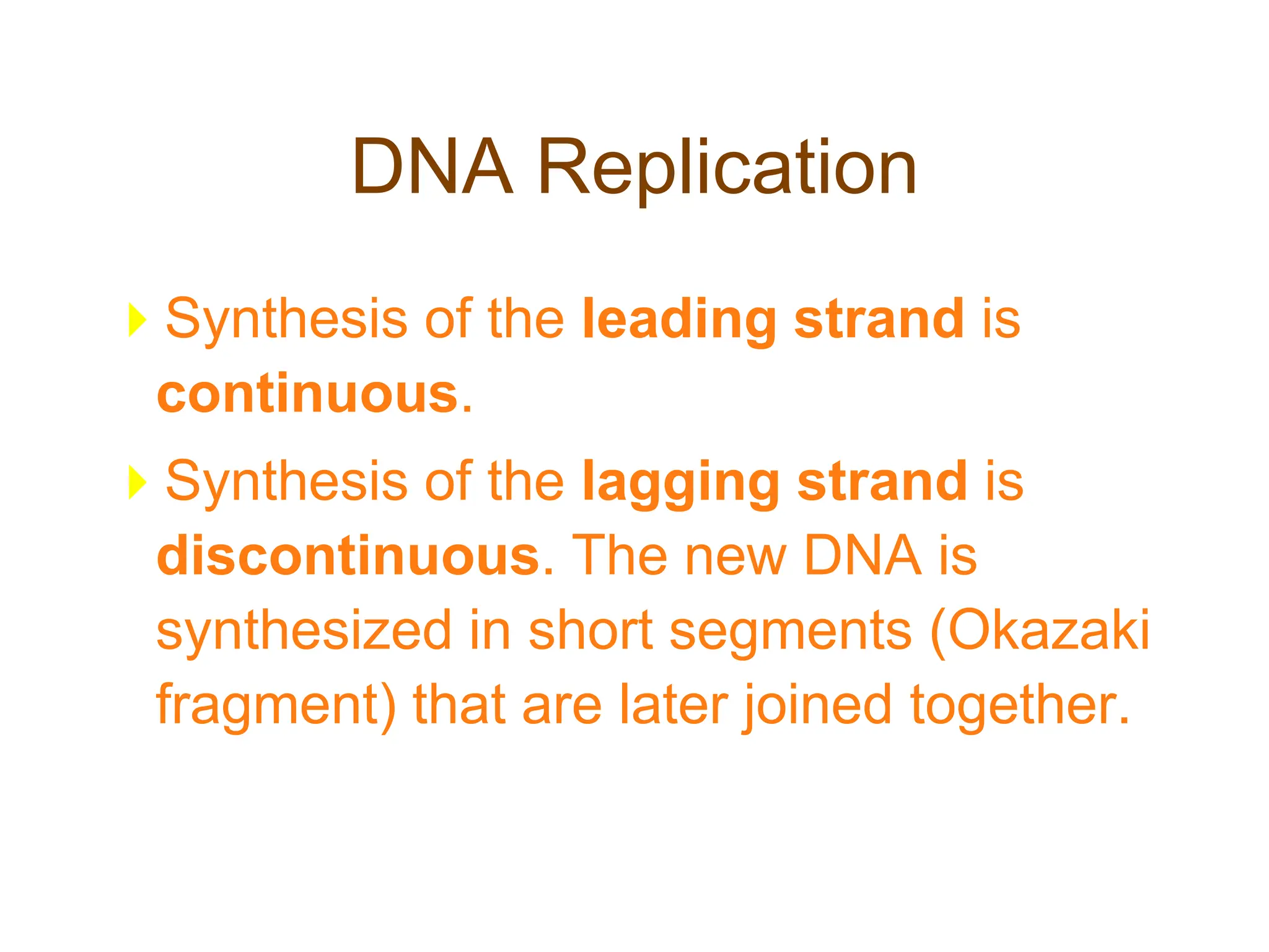 DNA Replication-2 in prokaryotes and eukaryotes.ppt
