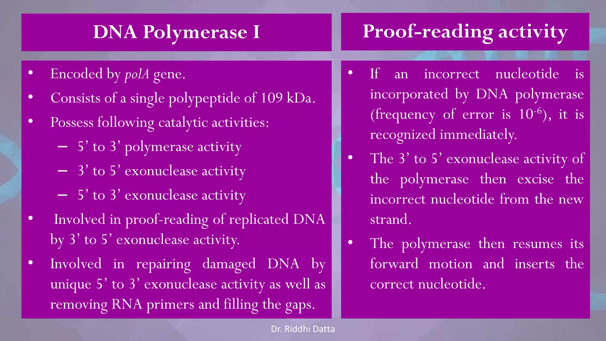Basics of DNA Replication | PDF