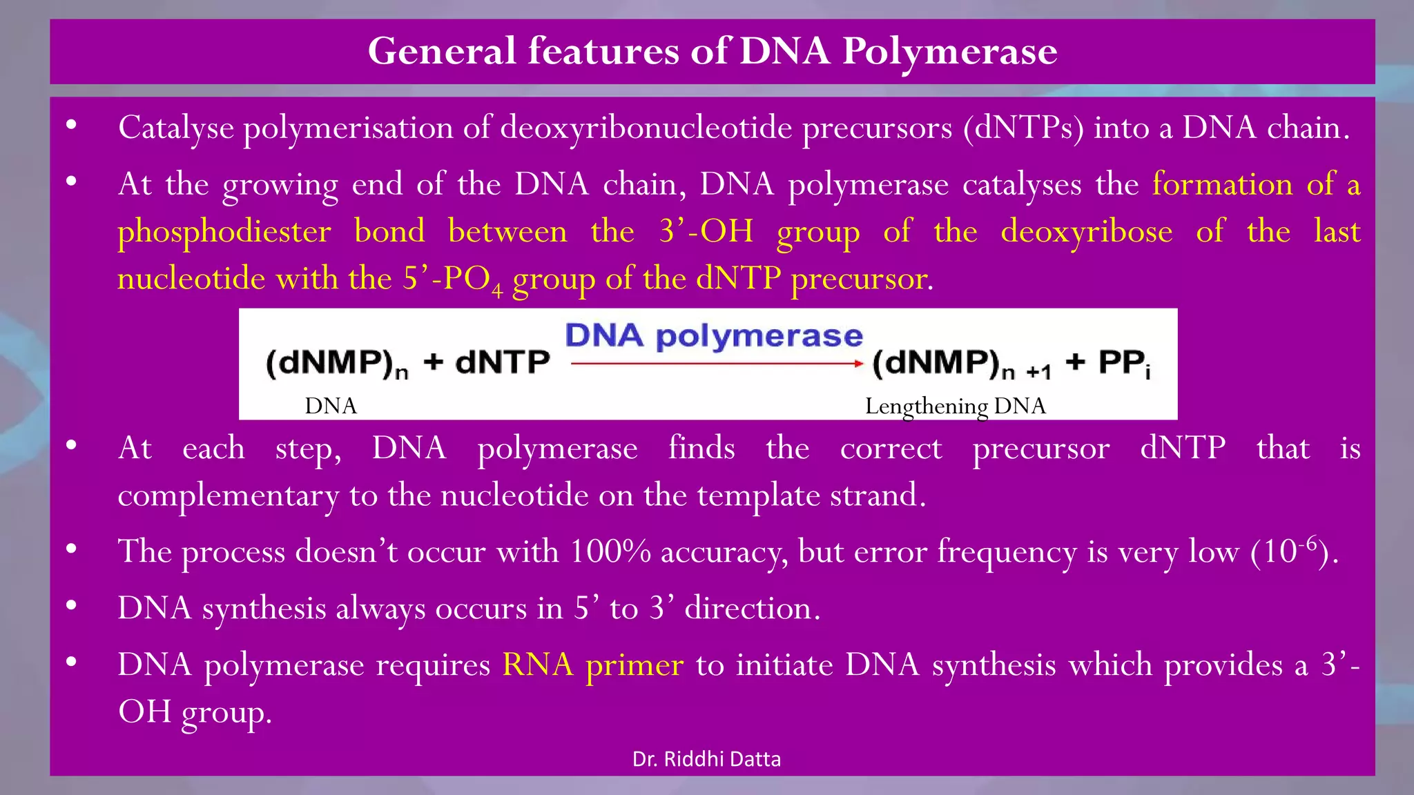 Basics of DNA Replication | PDF
