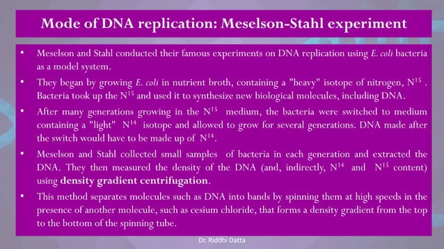 Basics of DNA Replication | PDF | Biological Sciences | Science