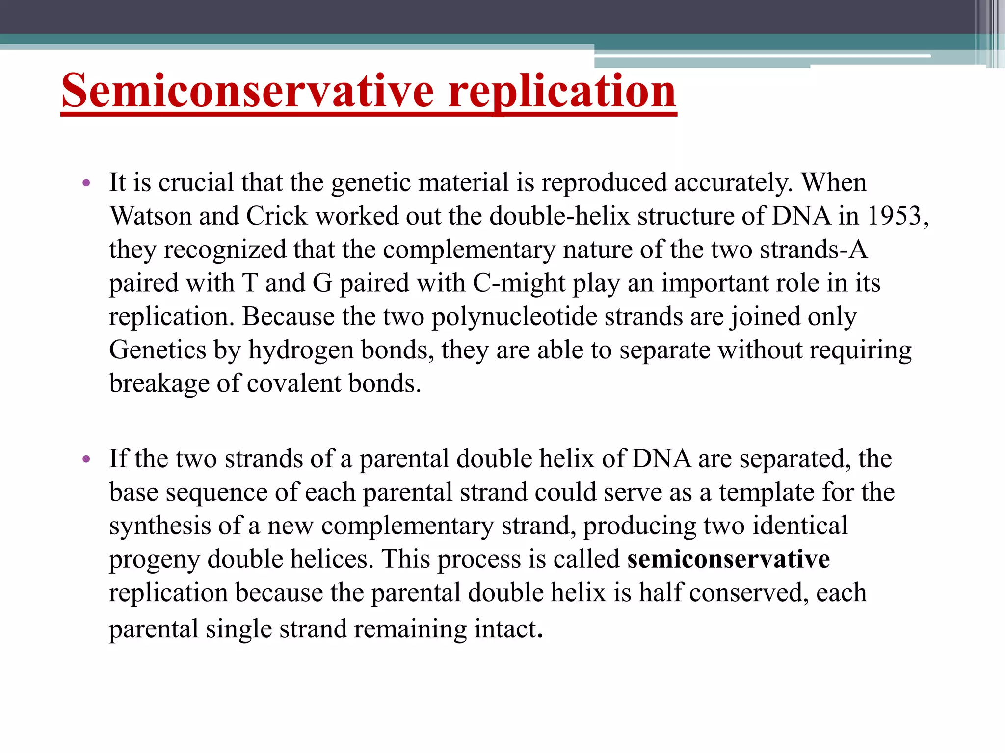 DNA replication | PPTX